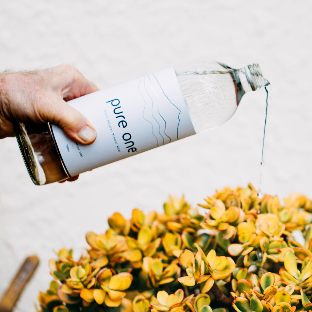 Pure One | Alkaline Artesian Mineral Water