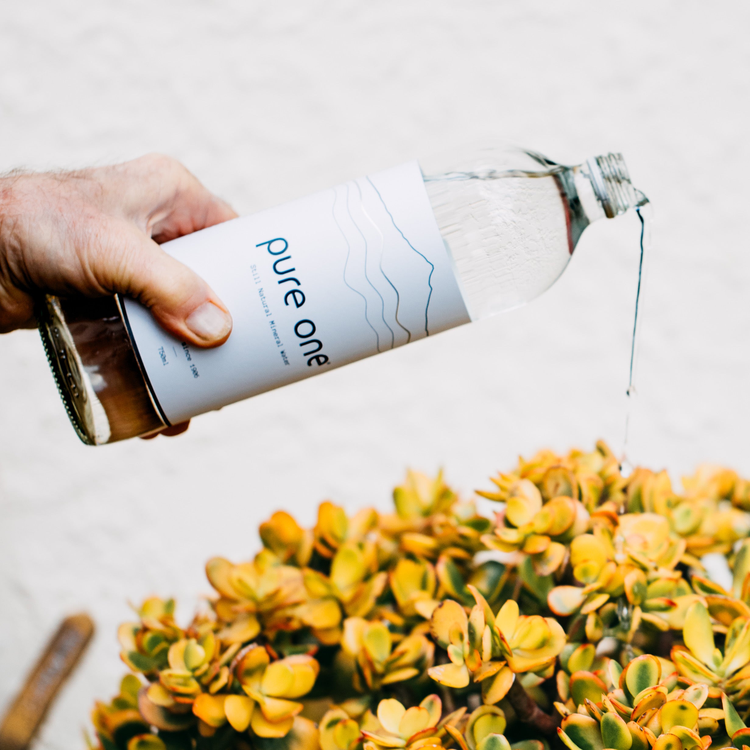 Pure One | Alkaline Artesian Mineral Water