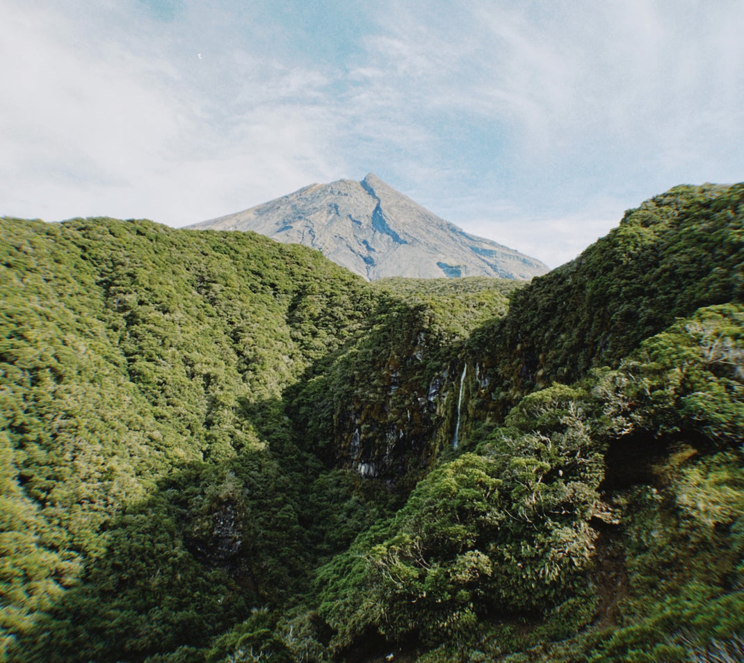 Pure One | Alkaline Artesian Mineral Water