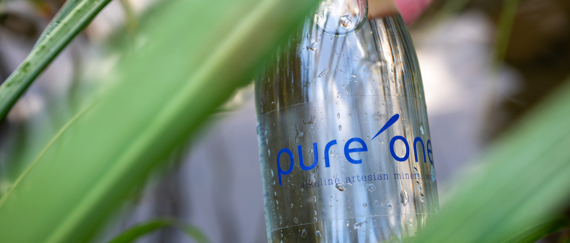 Sustainability – Pure One | Natural New Zealand Mineral Water